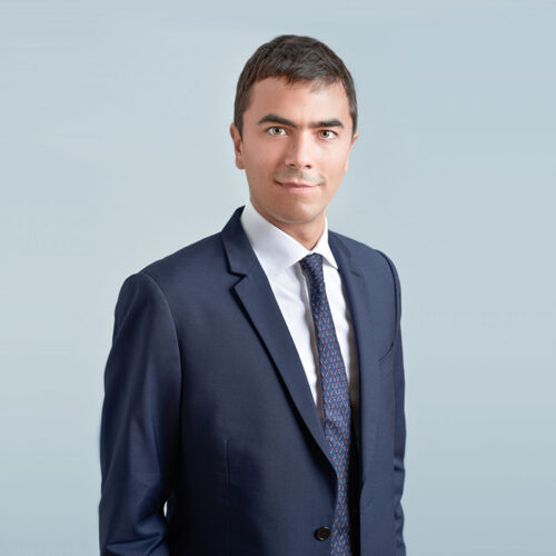 Team - Committed Advisors