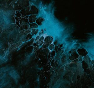 Home - Committed Advisors